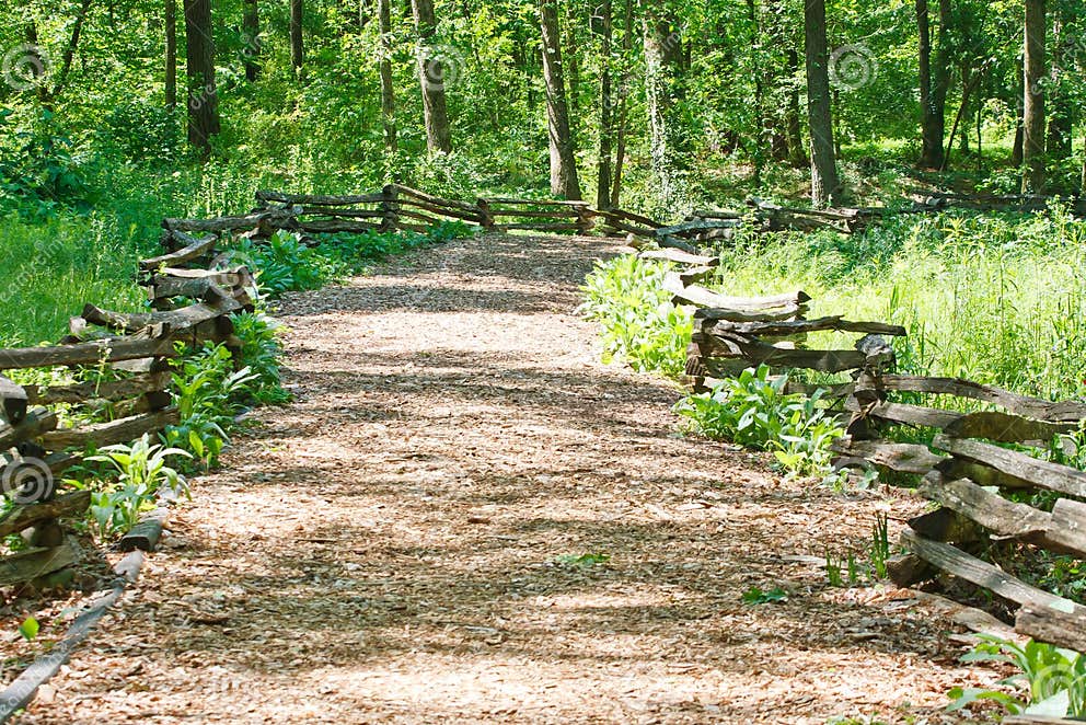 Wood Chip Walking Trail stock image. Image of lane, country - 21276223