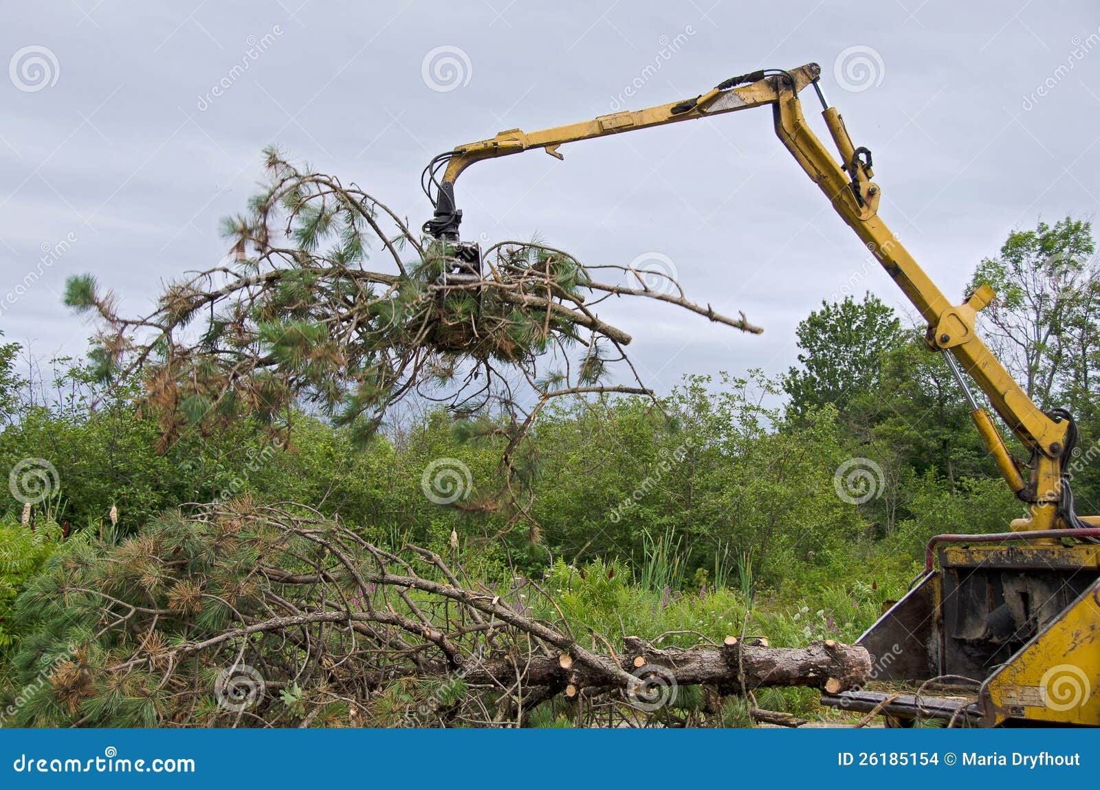 Wood chipper stock photo. Image of industrial, boom, equipment - 26185154
