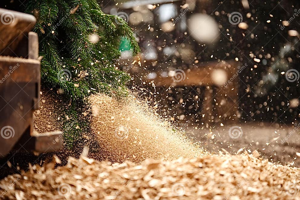 Wood Chipper Processing Branches Creating a Pile of Wood Chips Stock ...