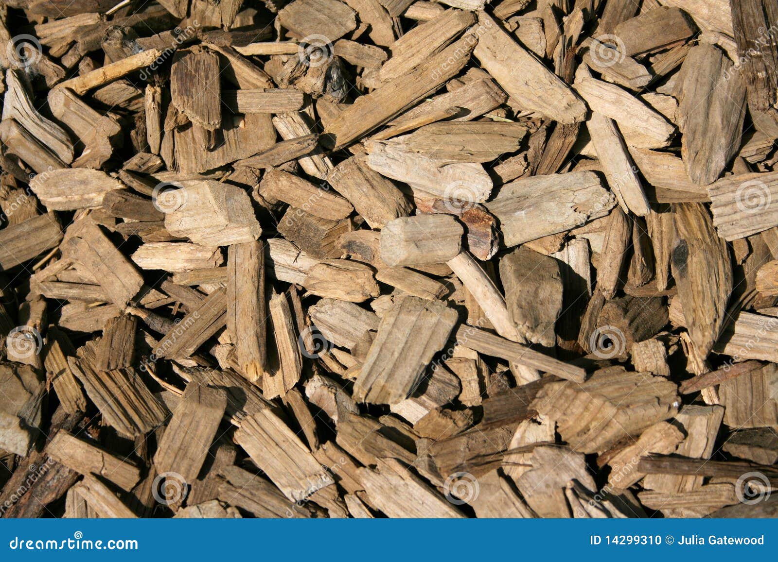 Wood Chips stock photo. Image of forest, tree, slice - 14299310