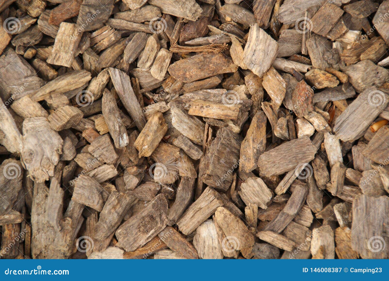 Wood chips background stock image. Image of brown, peel - 146008387