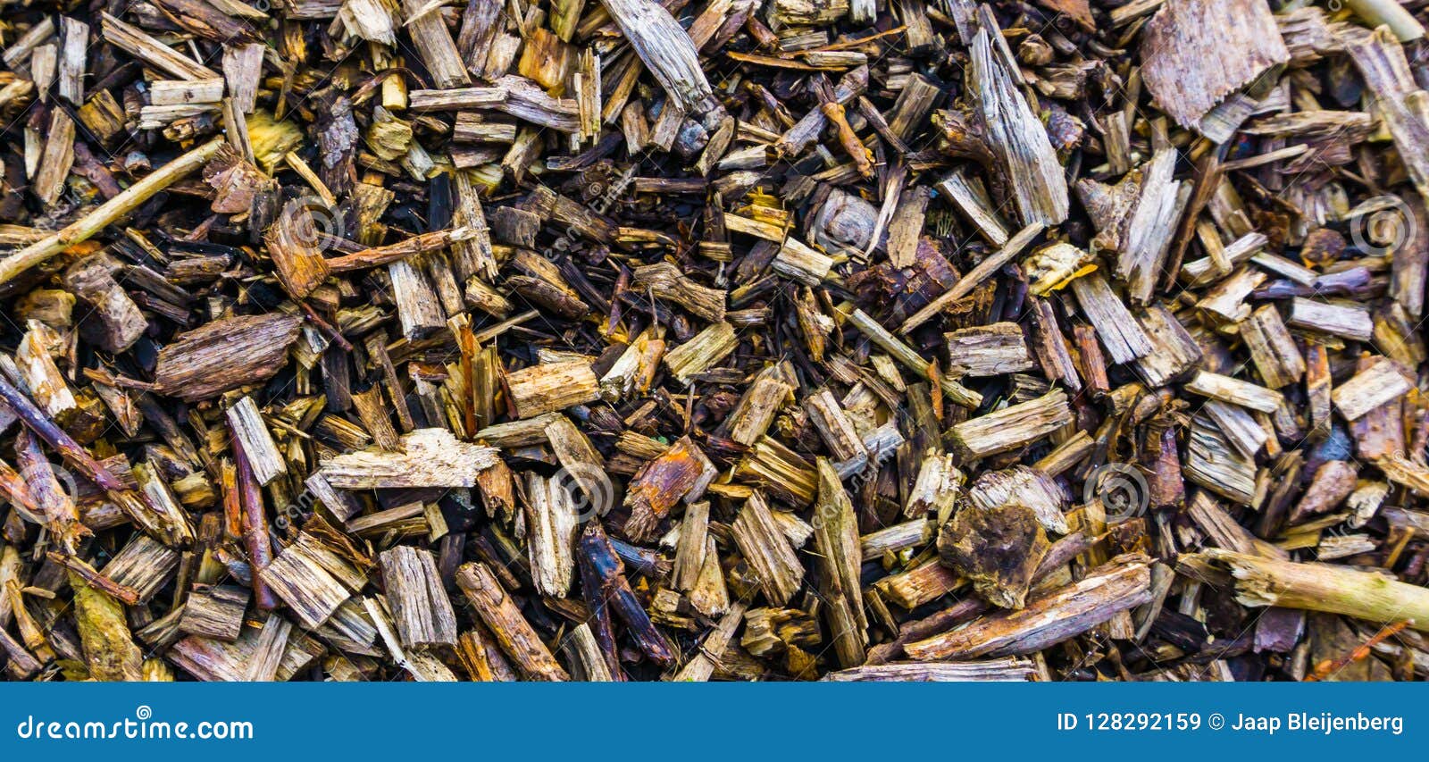 Wood Chips In Different Sizes And With Branches Ground Texture ...