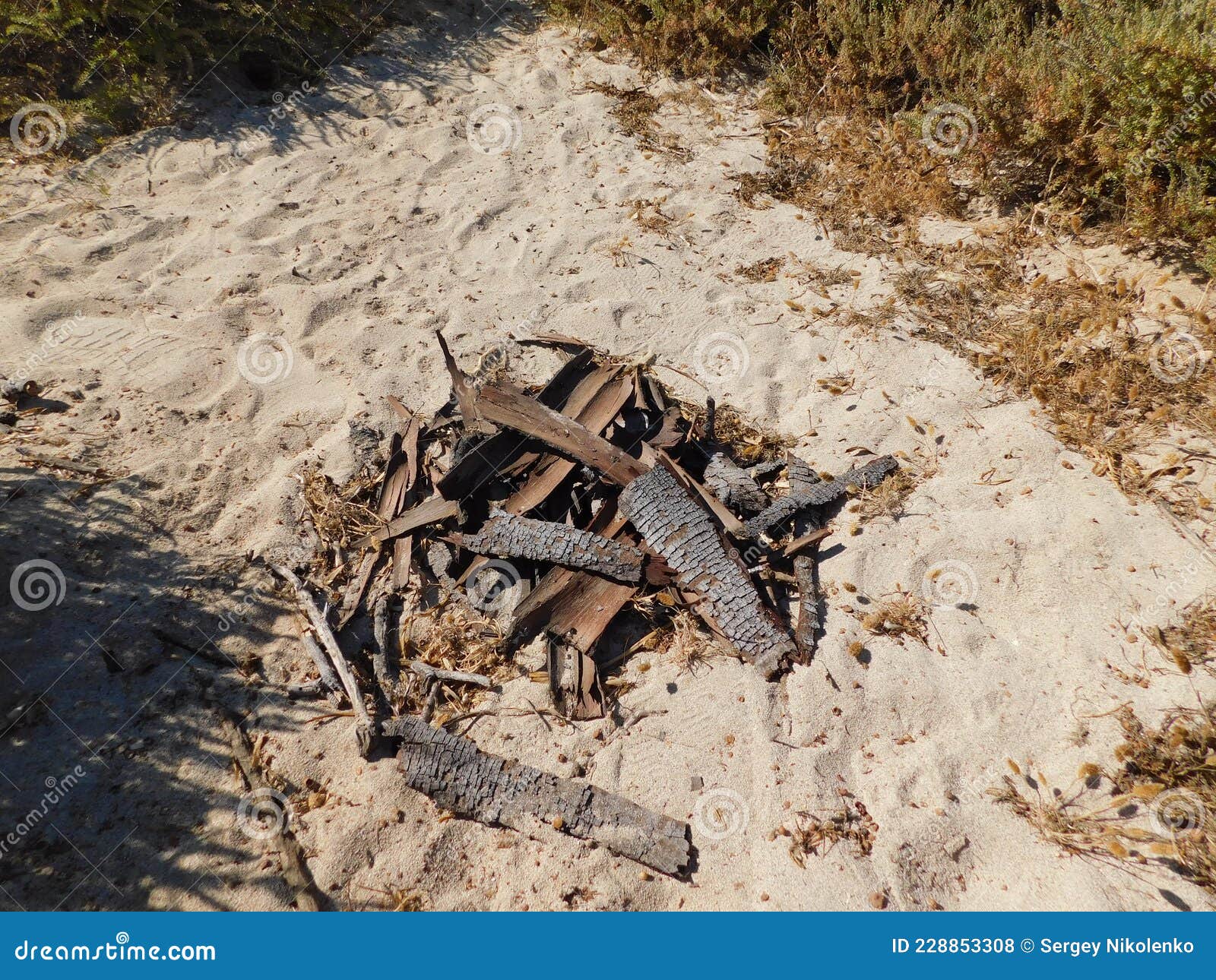 Wood Chips for Making a Fire on the Sand. Stock Photo - Image of autumn ...