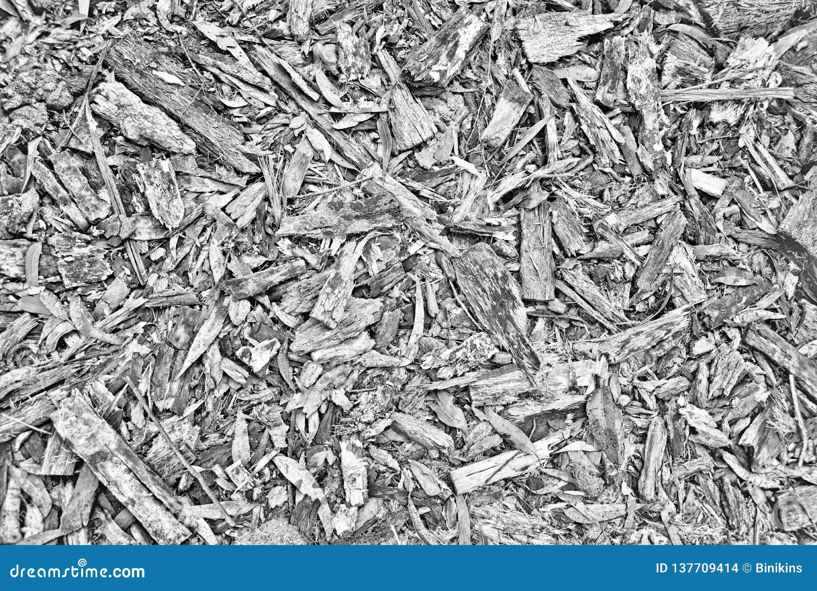 Wood Chips Texture stock photo. Image of garden, texture - 137709414