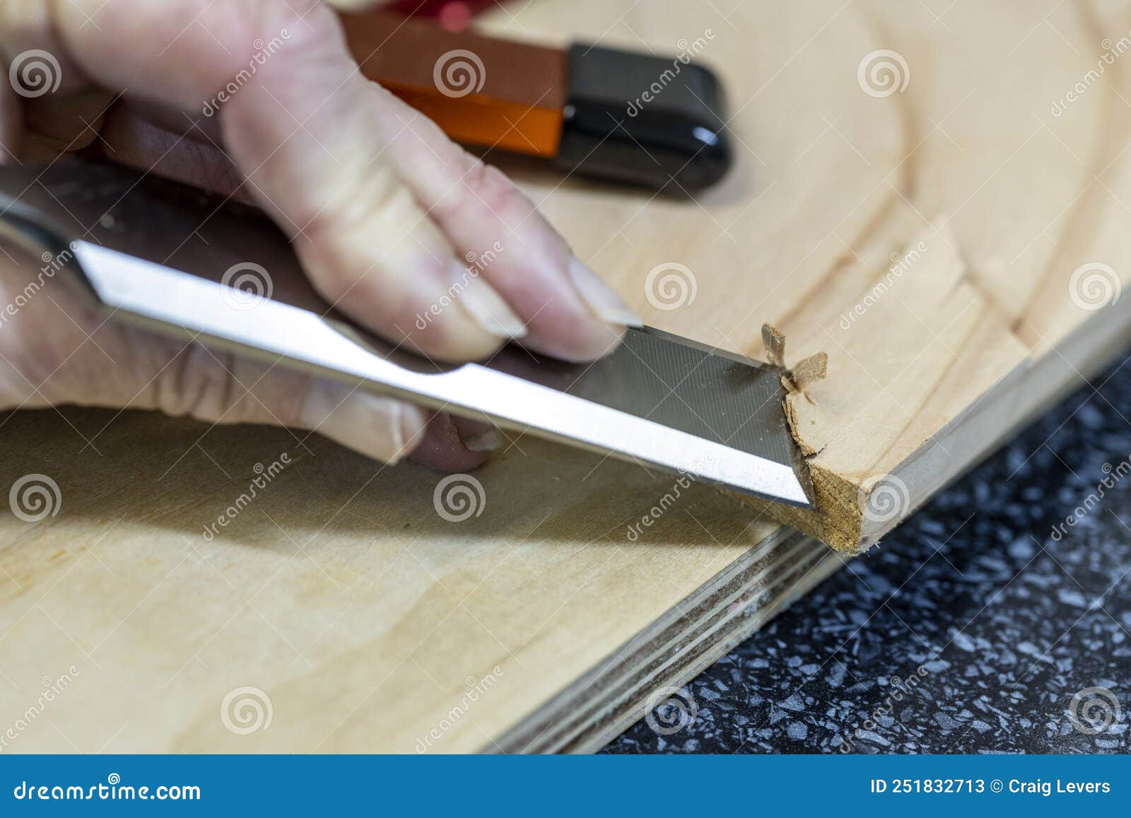 Wood Chisel Detail stock image. Image of craft, fine - 251832713