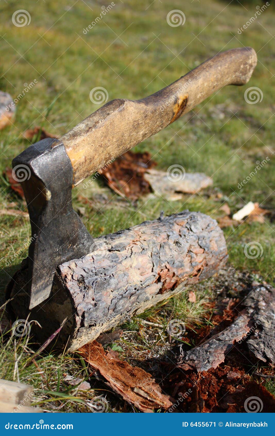 Wood chopper stock image. Image of object, firewood, metal - 6455671