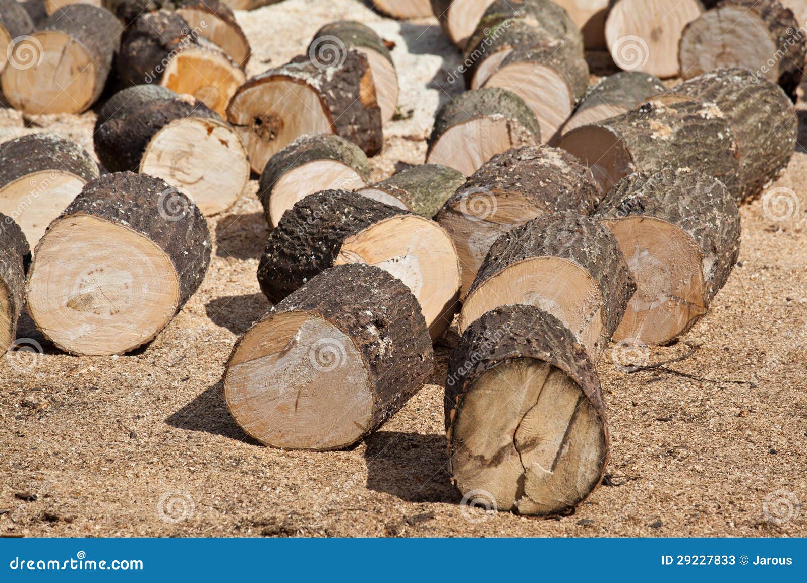 Wood chunks stock image. Image of forestry, ring, closeup - 29227833