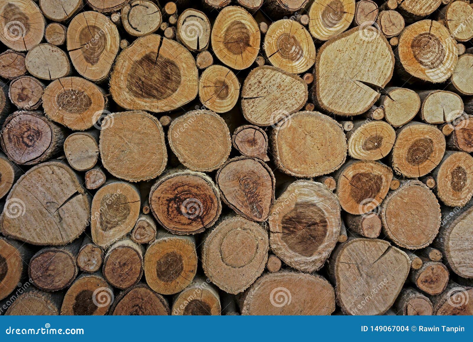 Wood Circles Pattern of Cutted Tree Trunks. the Round Pieces are of ...