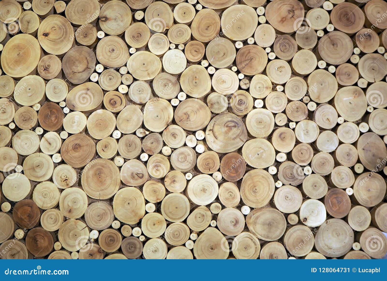 Wood Circles Pattern of Cutted Tree Trunks. the Round Pieces are of ...