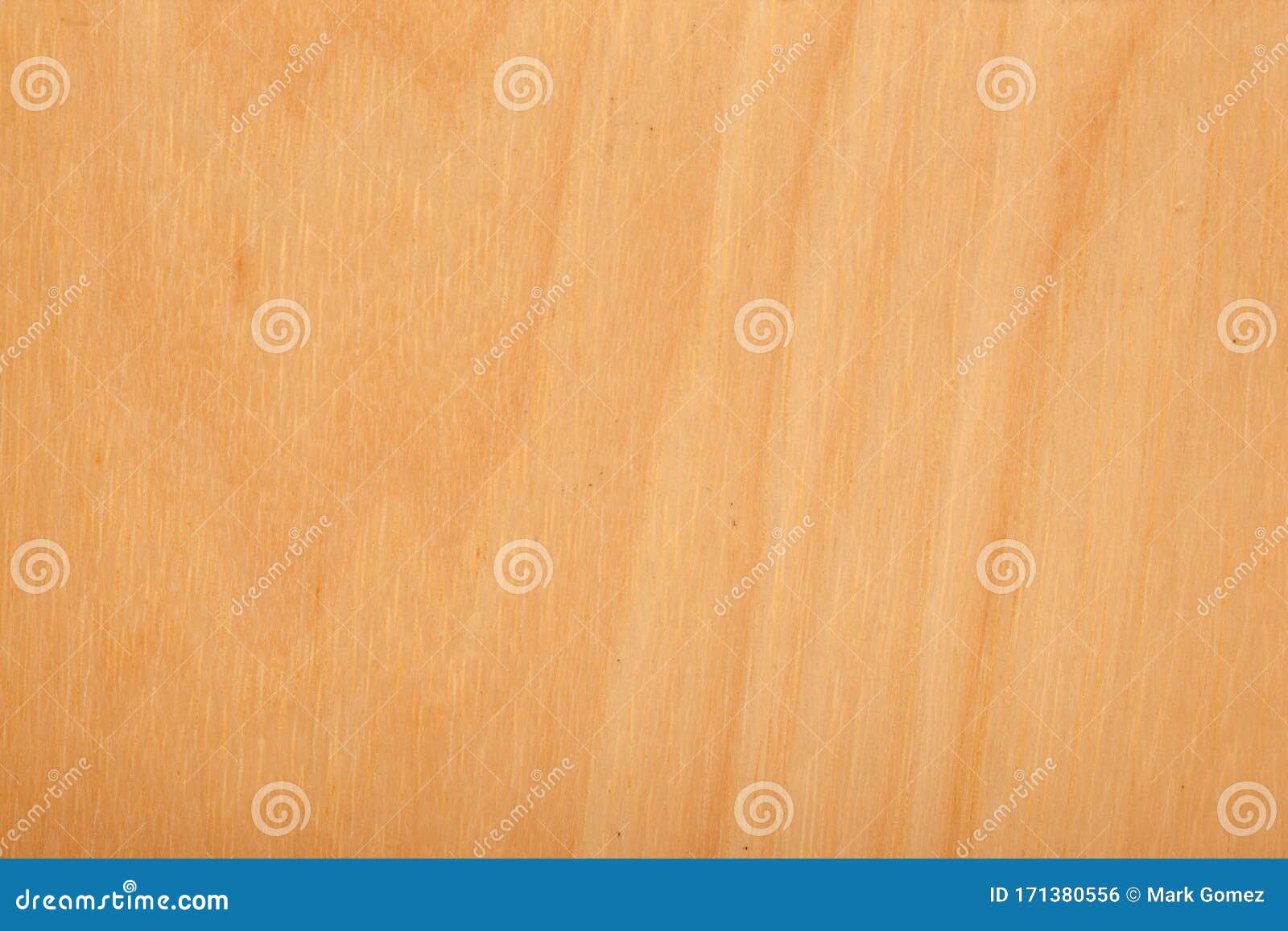 Wood Close up stock photo. Image of hardwood, paneling - 171380556