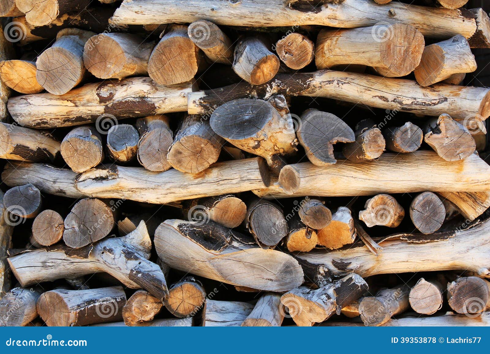 Wood stock photo. Image of pattern, forestry, crop, ridges - 39353878