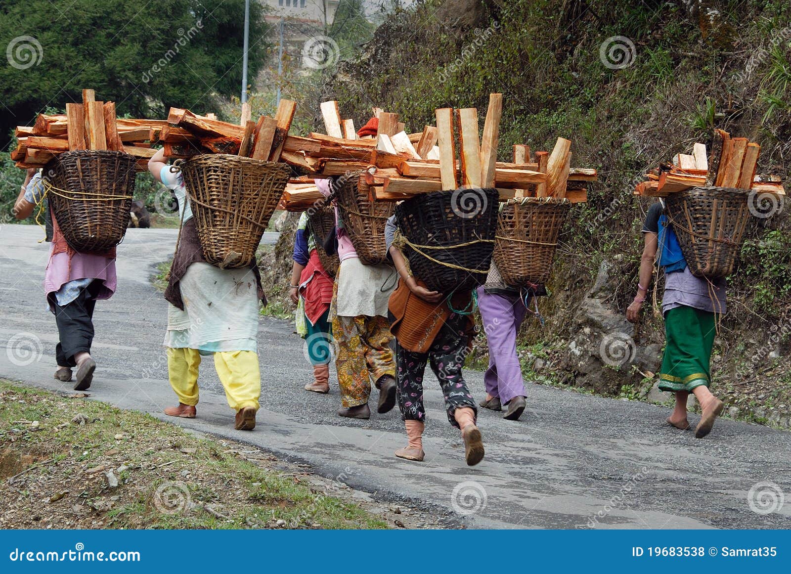 Wood Collector Women editorial stock photo. Image of lifestyle - 19683538