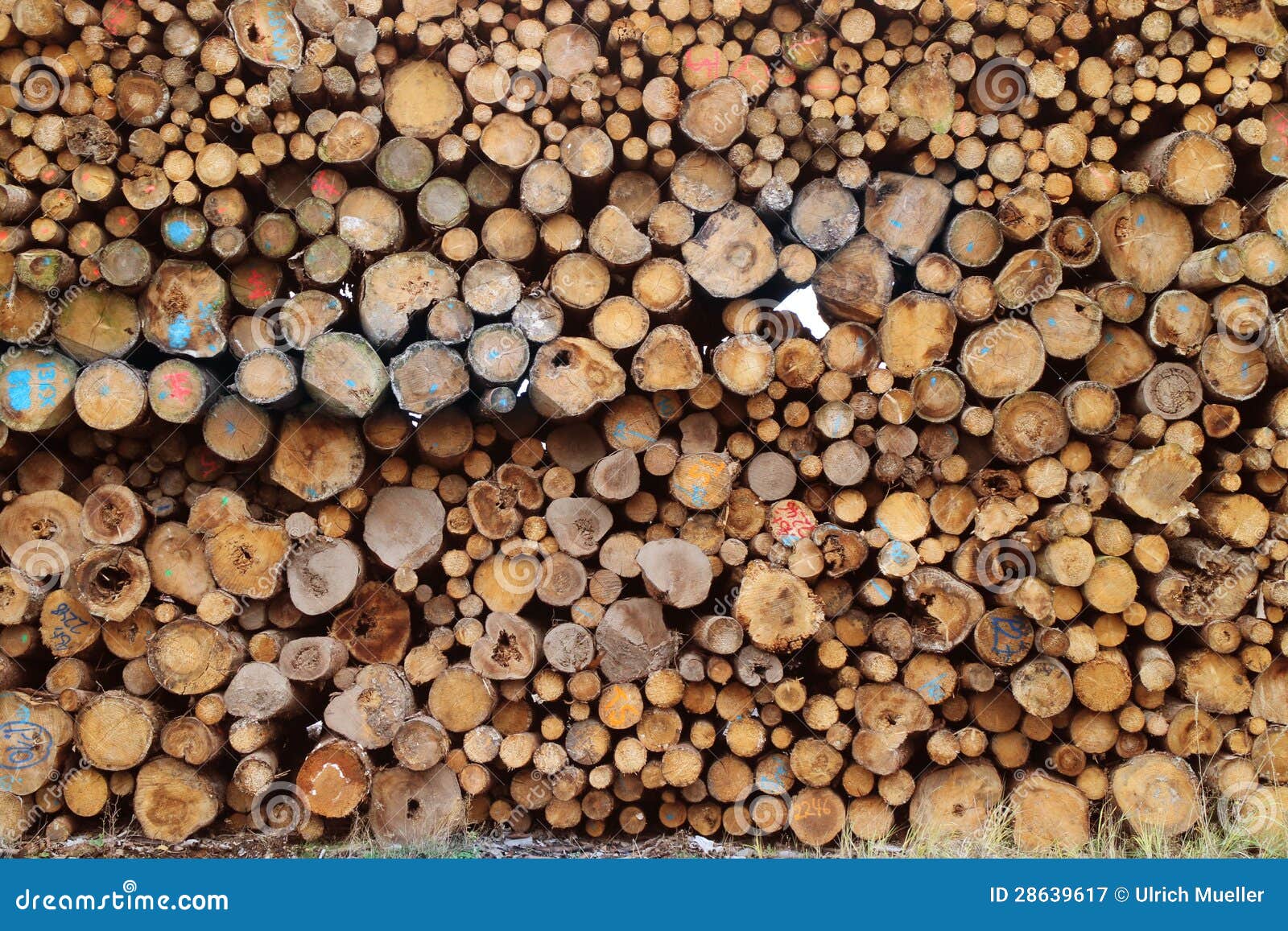 Wood for combustion stock image. Image of texture, renewable - 28639617