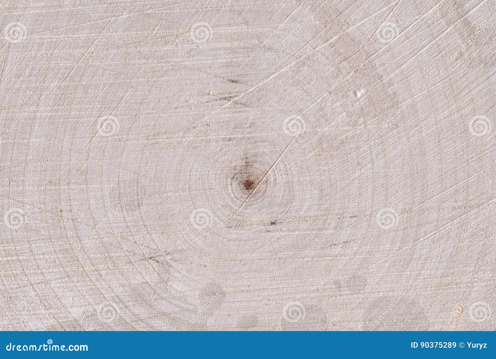 Wood core texture stock image. Image of circular, background - 90375289