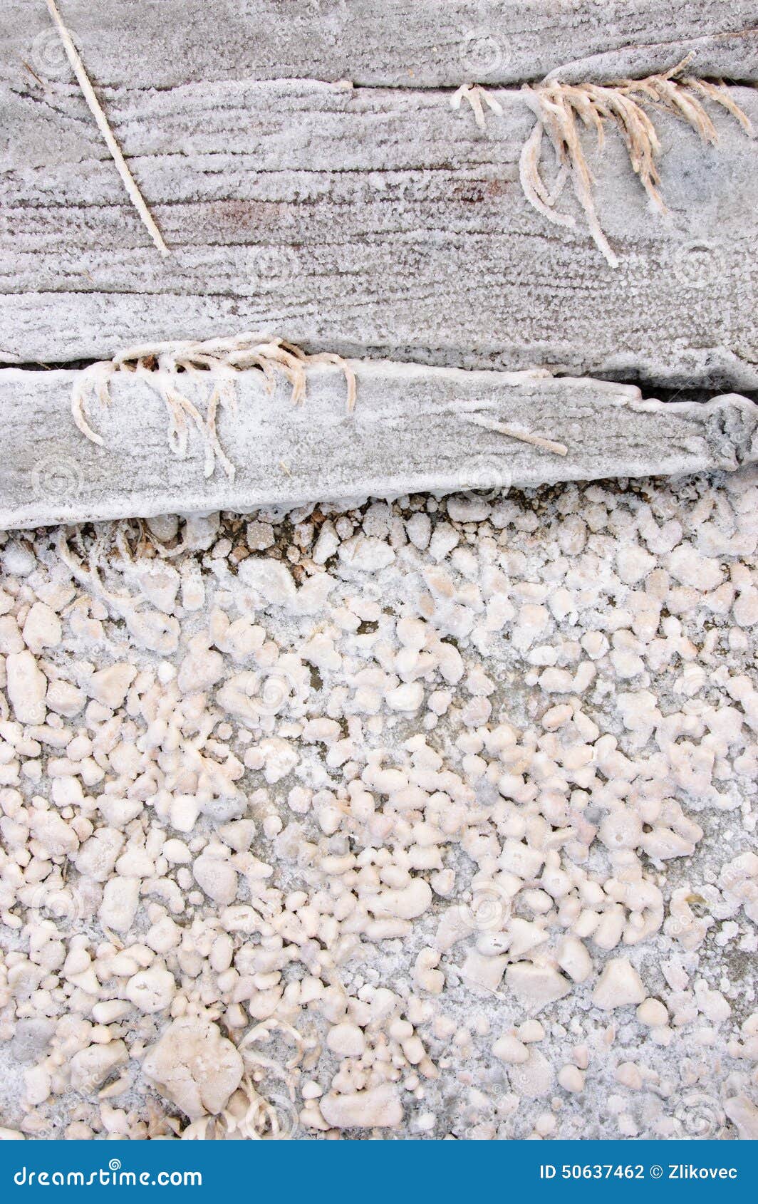 Wood covered with salt stock photo. Image of brine, conceptual - 50637462