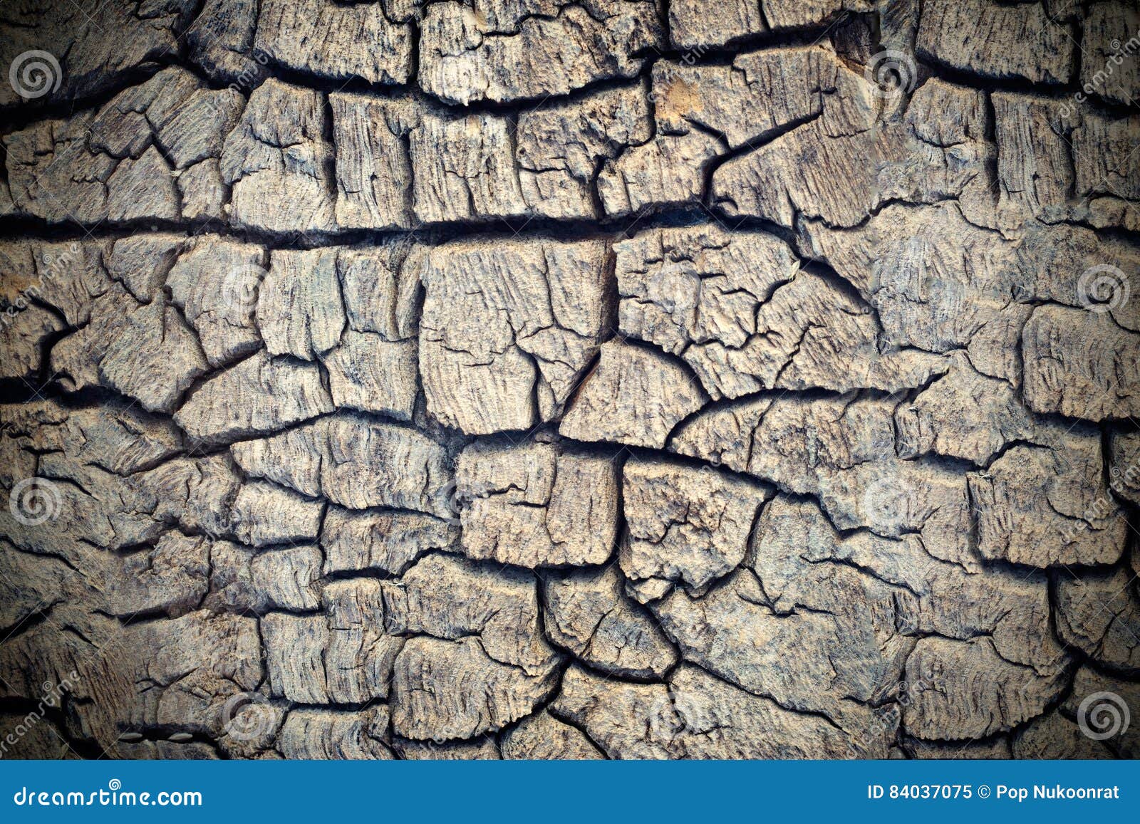Wood Crack Texture Background Stock Image - Image of background, grunge ...