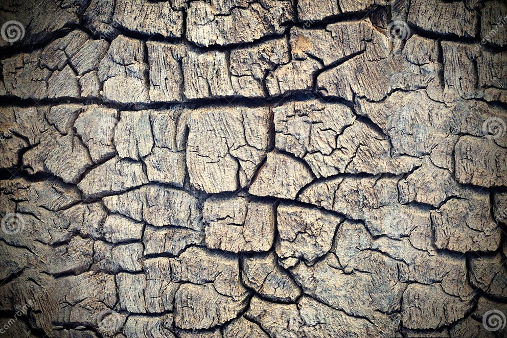 Wood Crack Texture Background Stock Image - Image of background, grunge ...