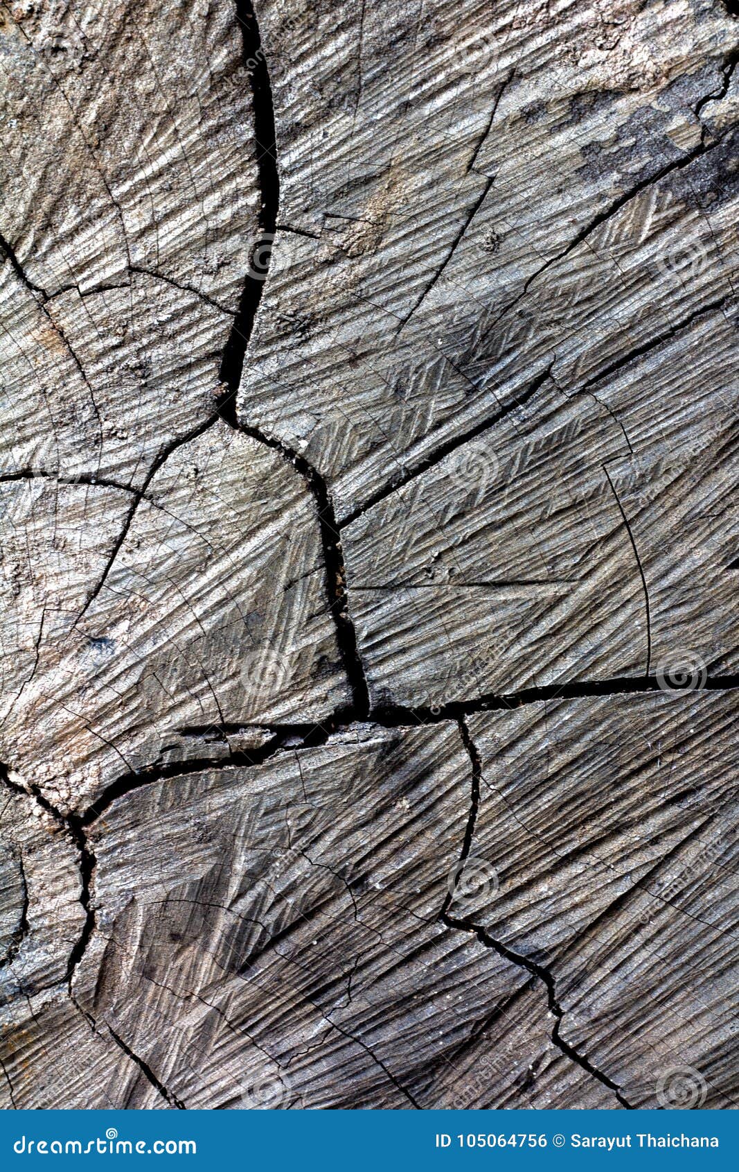 Wood Cracked Cut Broken Texture Stock Photo - Image of autuum ...