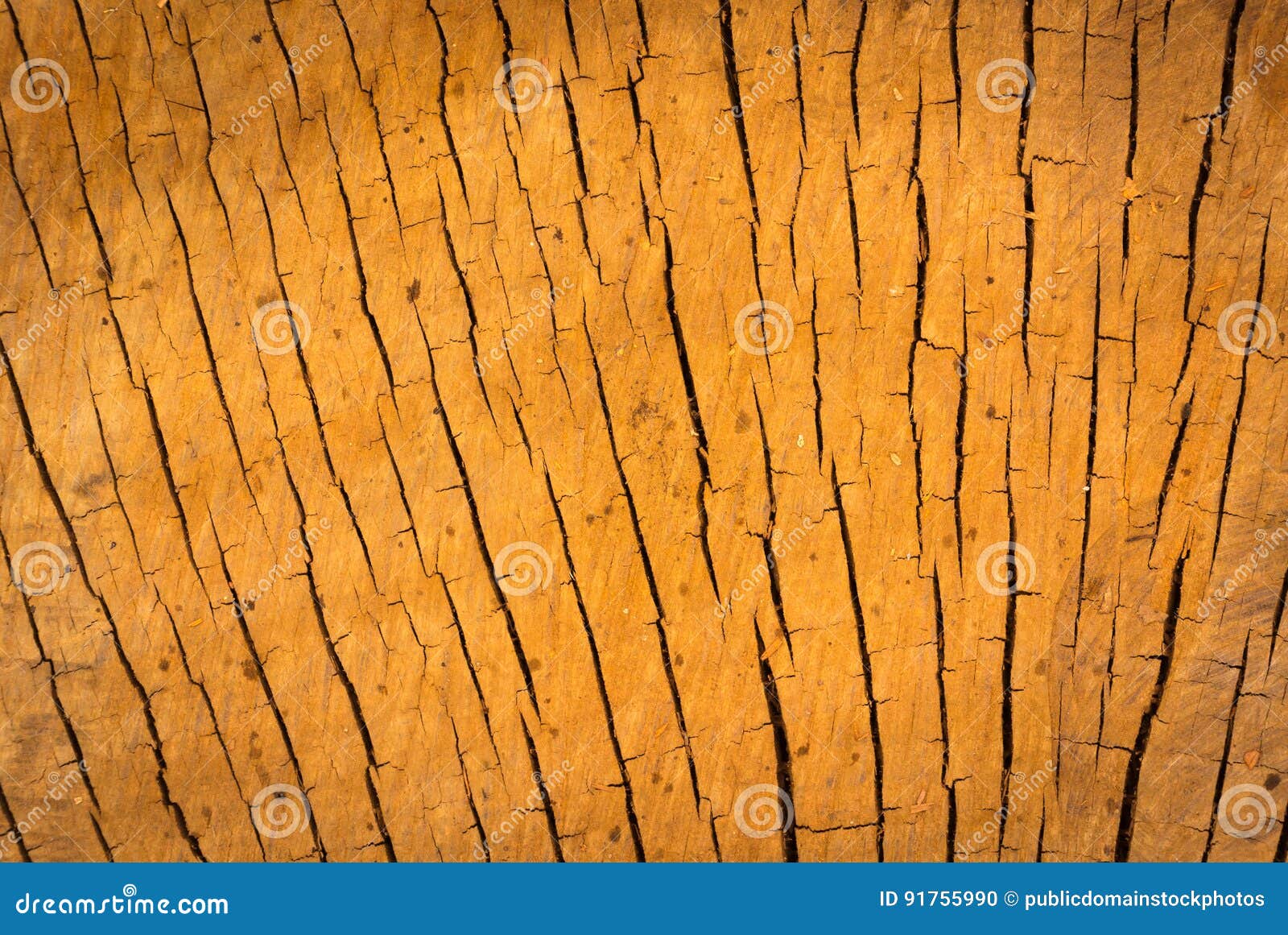 Wood Cracks Picture. Image: 91755990