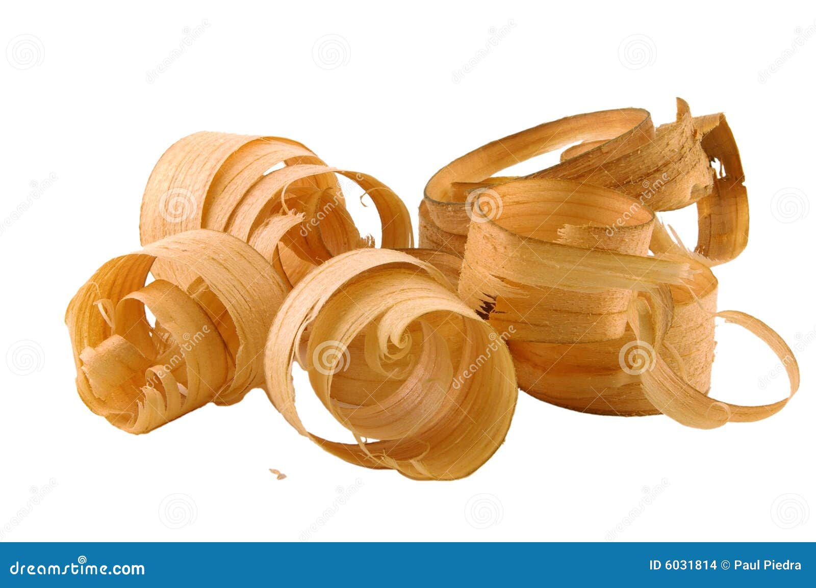 Wood Curls stock photo. Image of woodshop, shaving, construction - 6031814