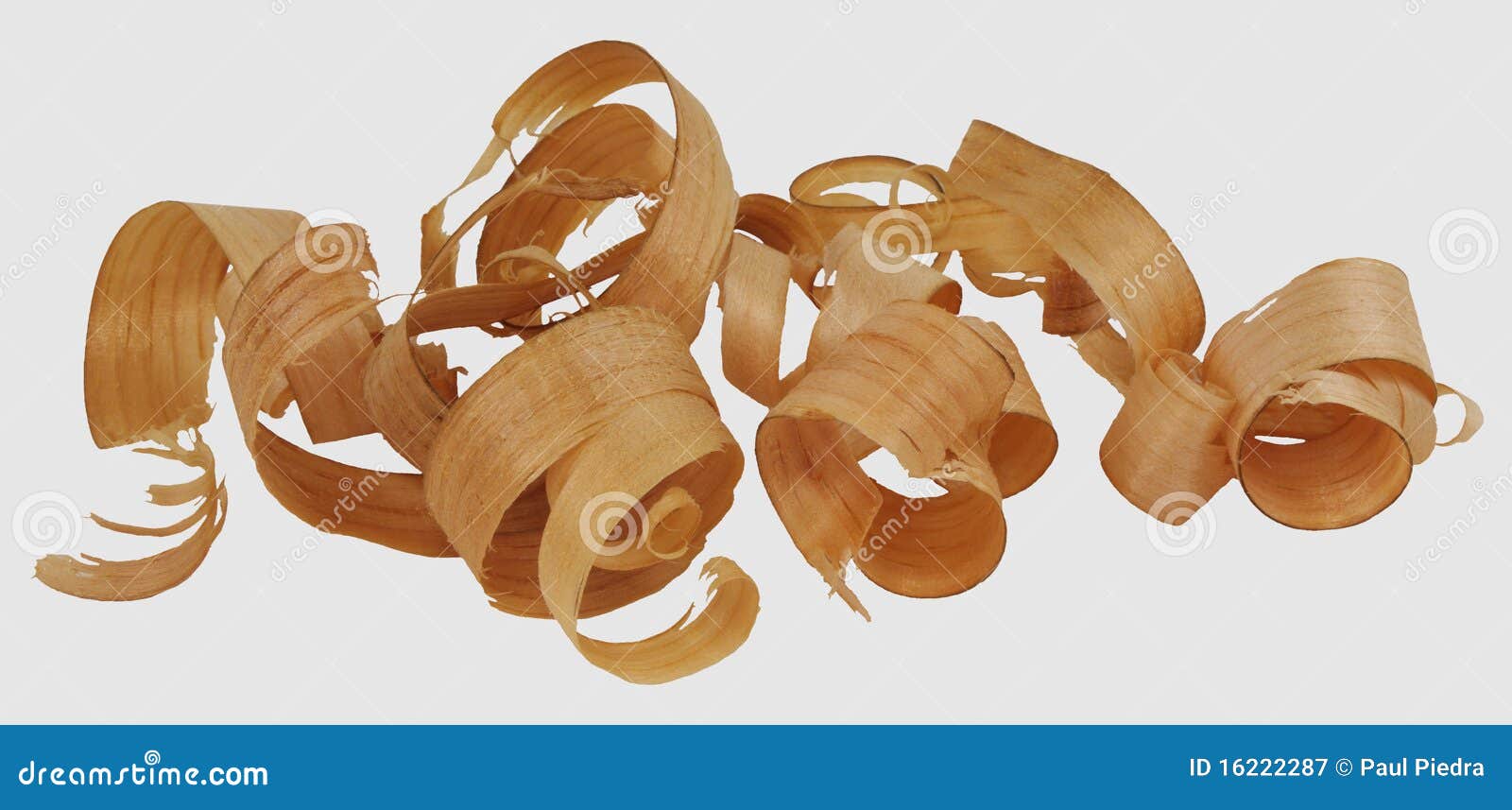 Wood Curls Isolated stock image. Image of carpentry, isolated - 16222287