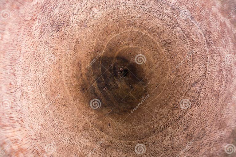 Wood curve pattern texture stock photo. Image of hole - 55097080