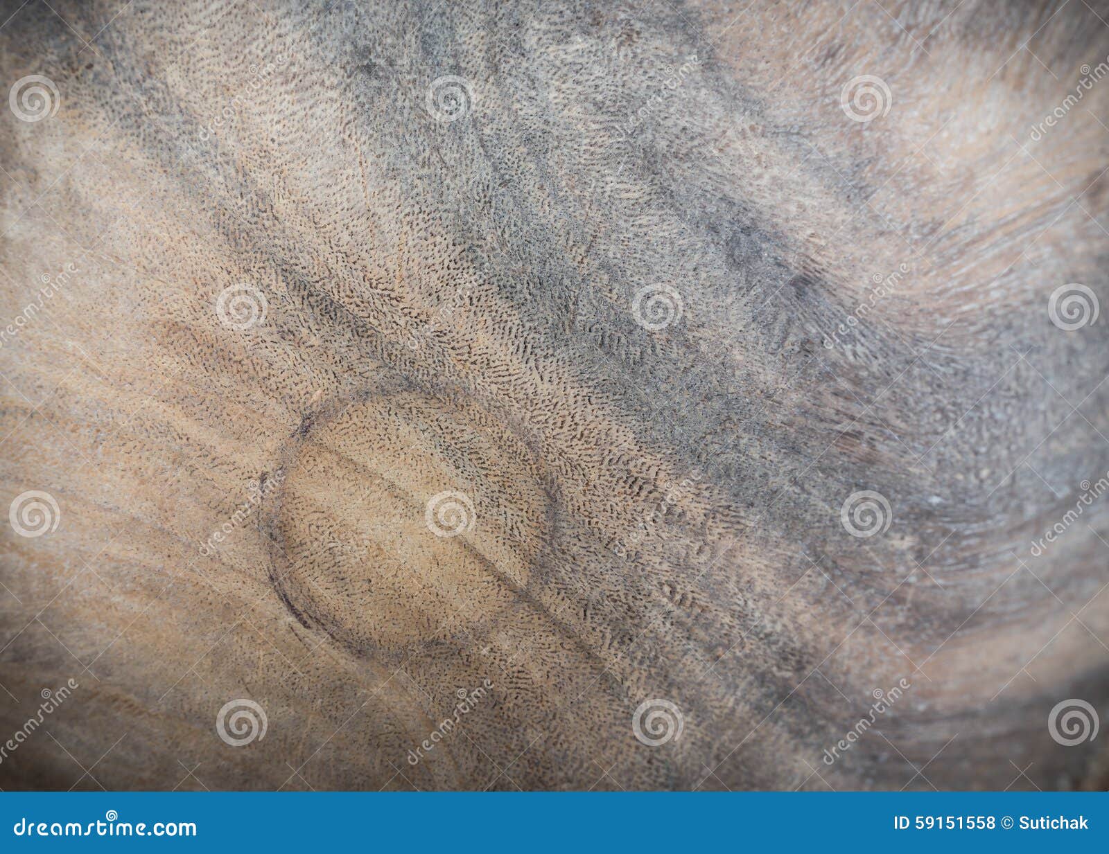 Wood curve pattern texture stock photo. Image of rustic - 59151558