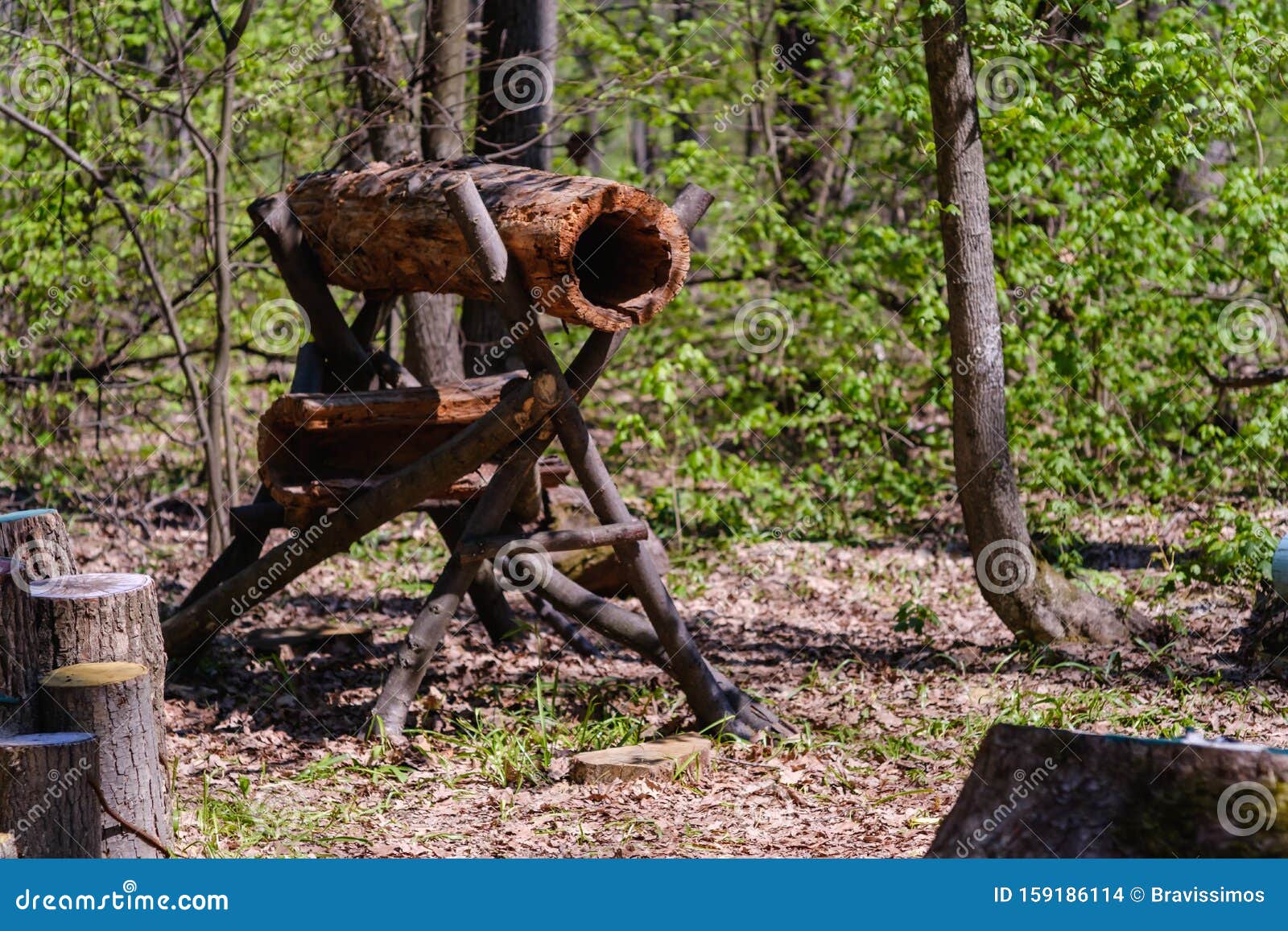 Lumber Tree Texture Royalty-Free Stock Photography | CartoonDealer.com ...