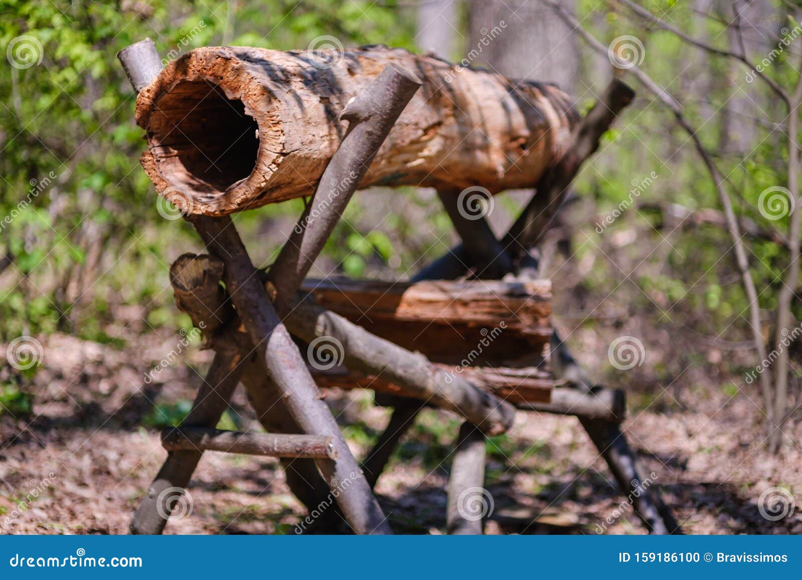 Wood Cut Lumber Tree Forest, Pile Stock Photo - Image of landscape ...