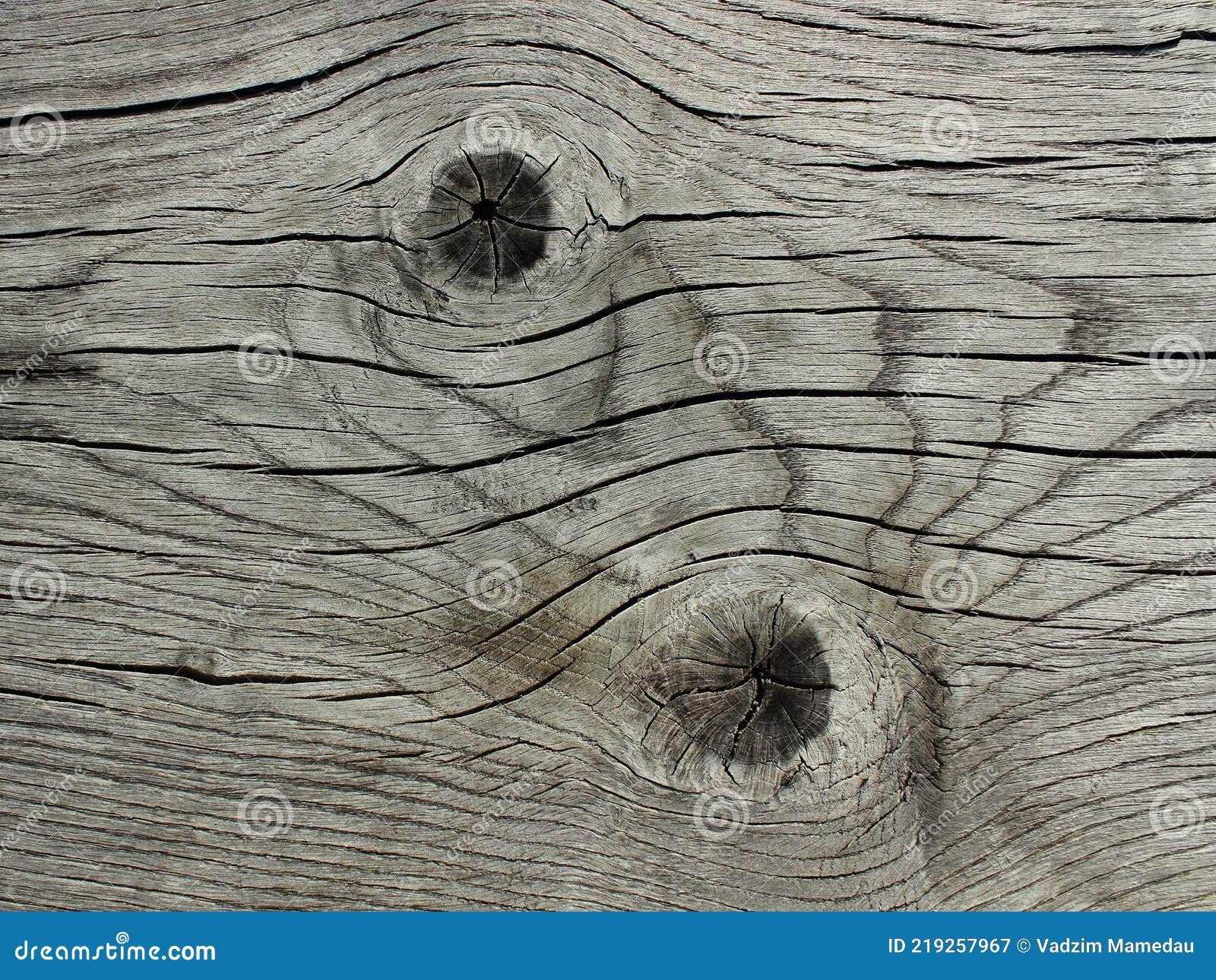 Wood Cut Pattern with Knots Texture Backgrounds Stock Image - Image of ...