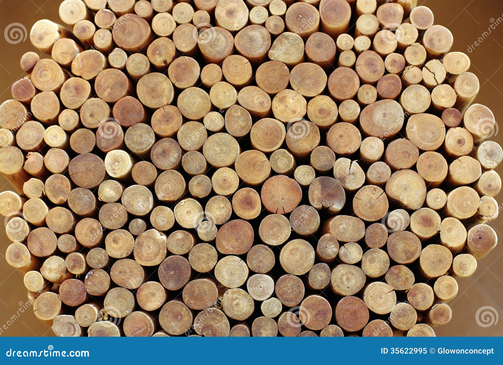 Wood Cut Ring in Circle Texture Stock Image - Image of detail, rough ...