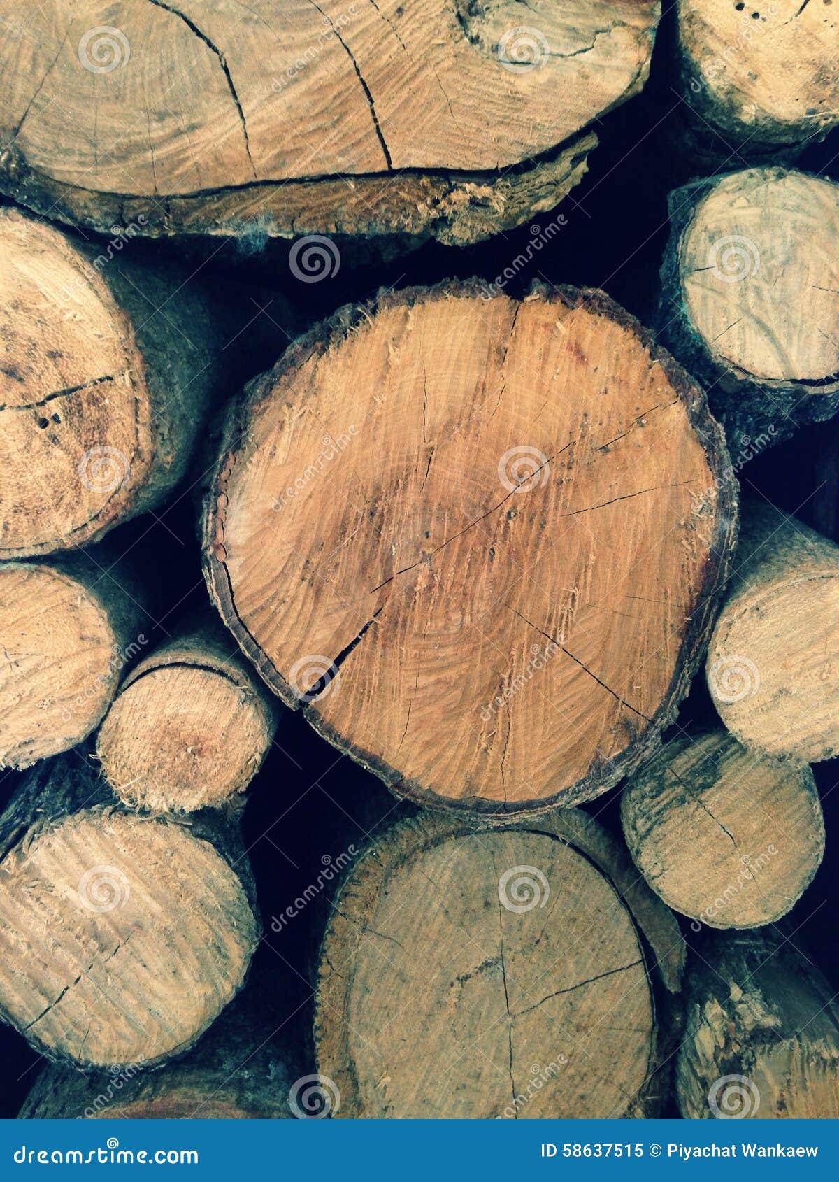 Wood cut texture stock image. Image of cutting, wood - 58637515