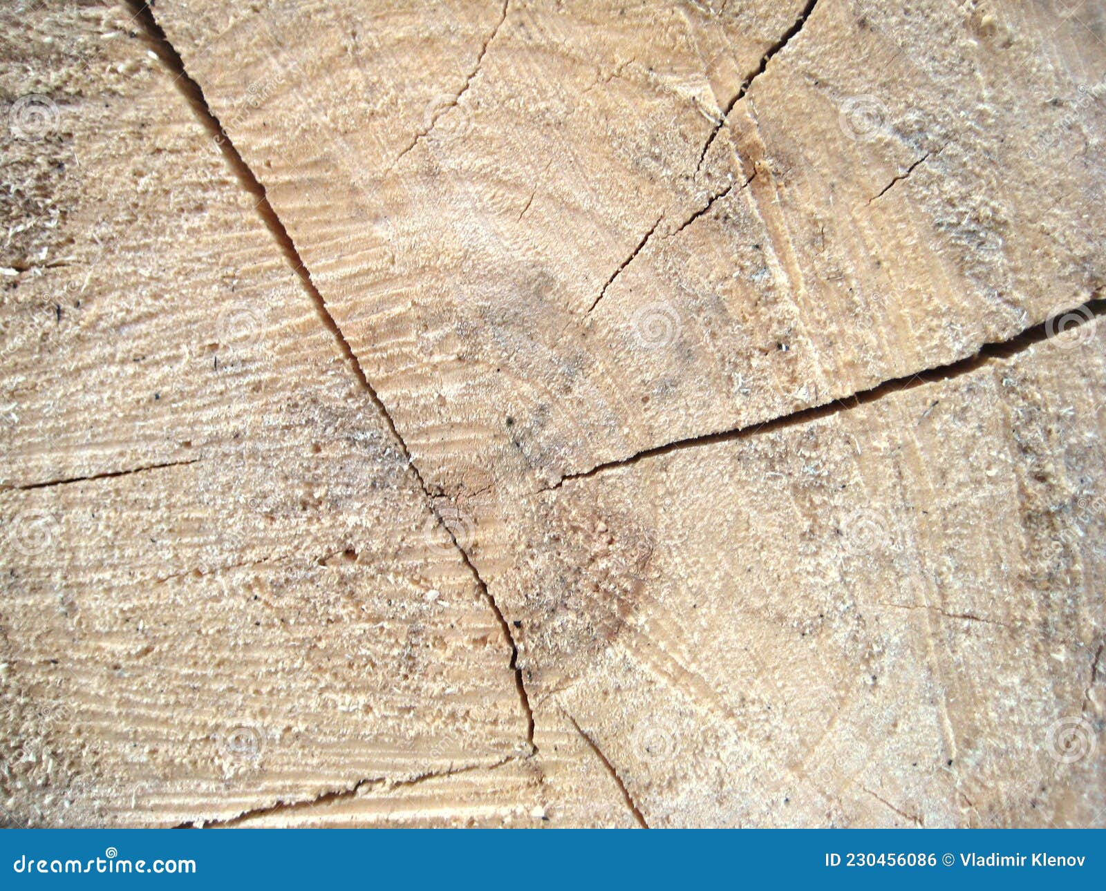 Wood Cut Texture Closeup Background Stock Photo - Image of dried ...