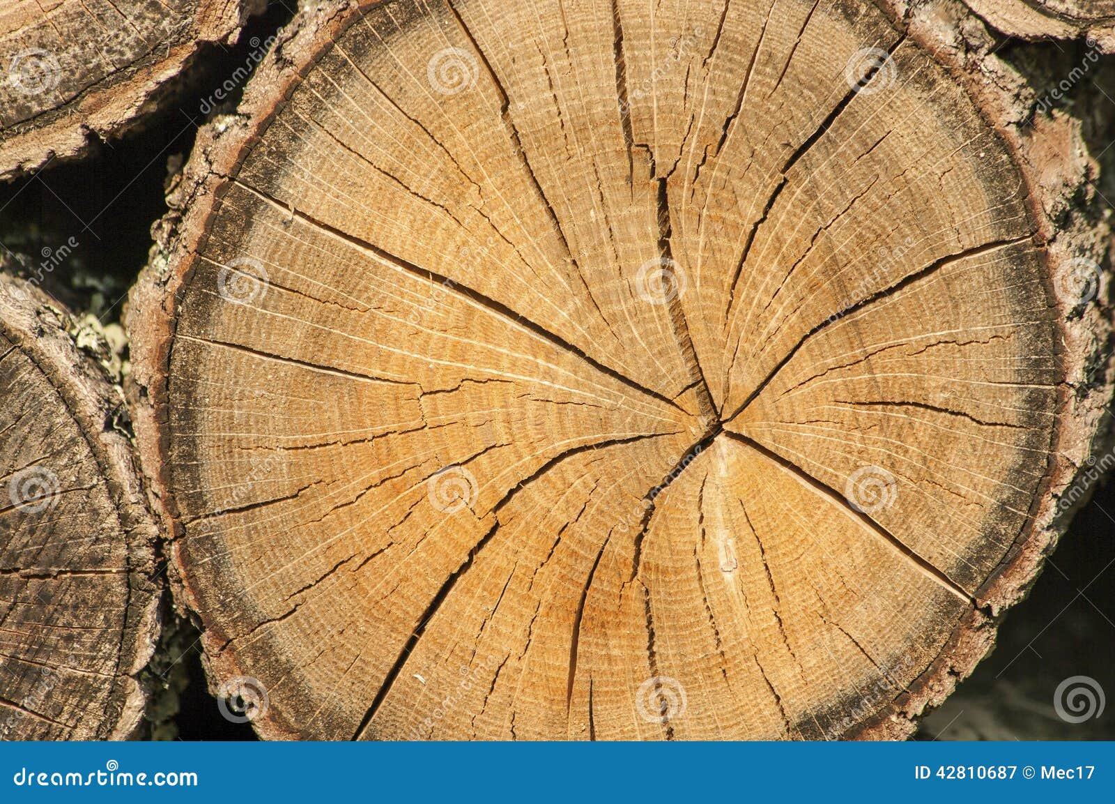 Wood cut texture stock image. Image of board, lumber - 42810687
