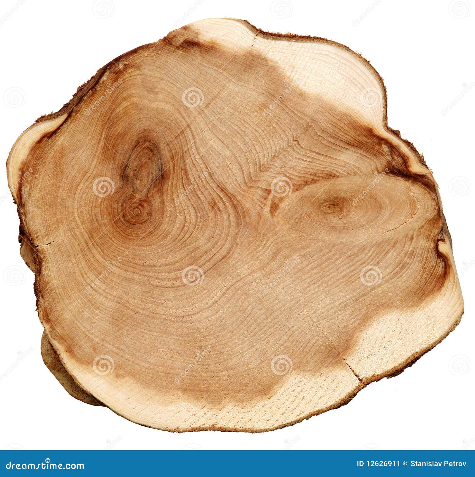 Wood Cut Texture Isolated on White Stock Image - Image of natural ...