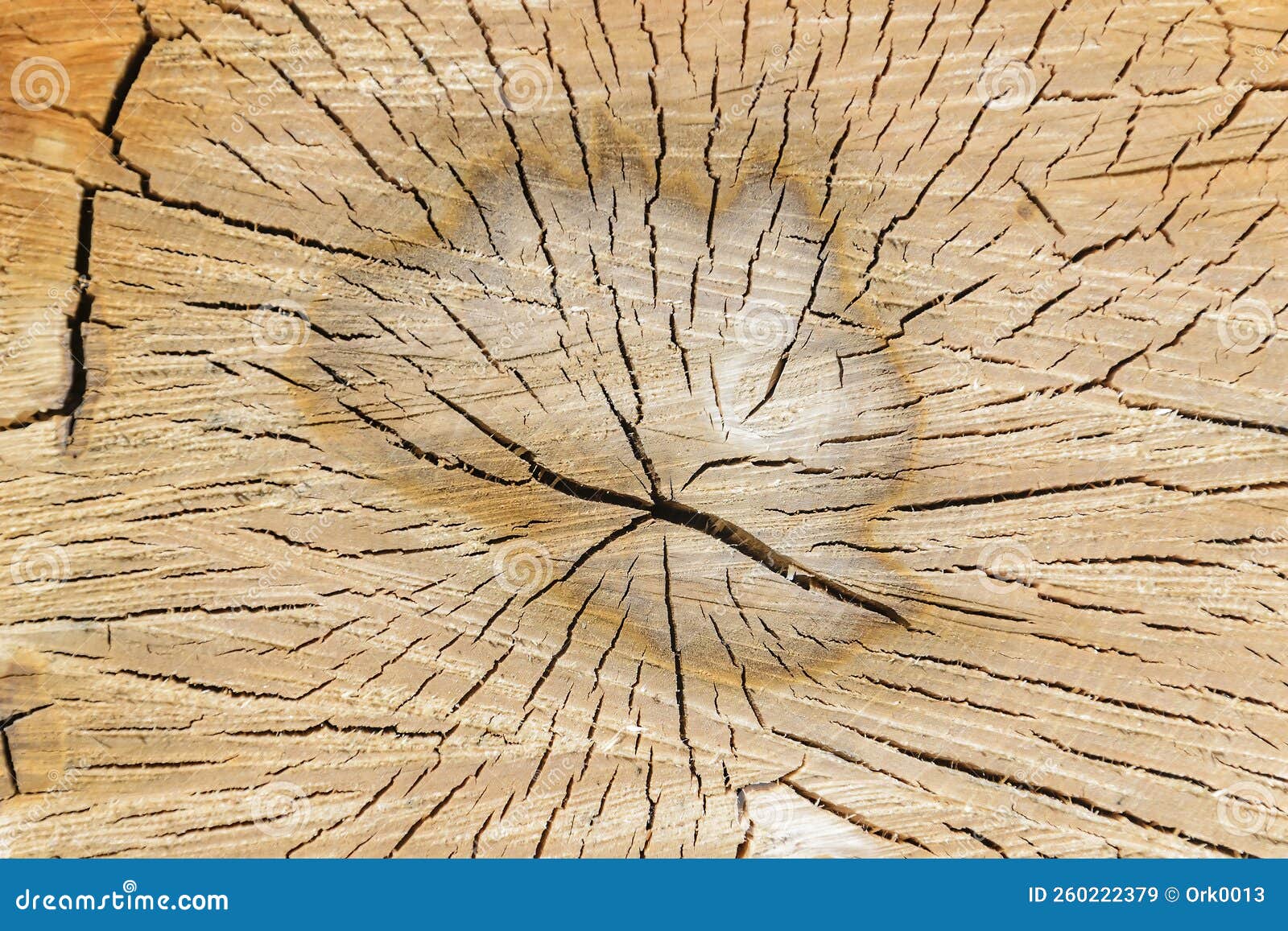 Wood cut texture stock image. Image of carpenter, center - 260222379