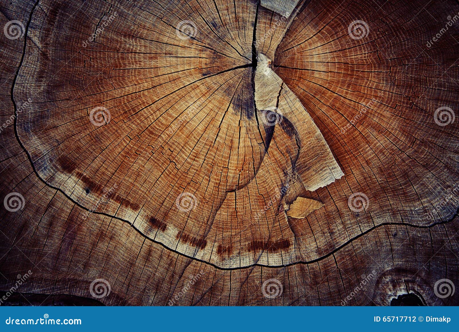 Wood cut texture ring stock photo. Image of concentric - 65717712