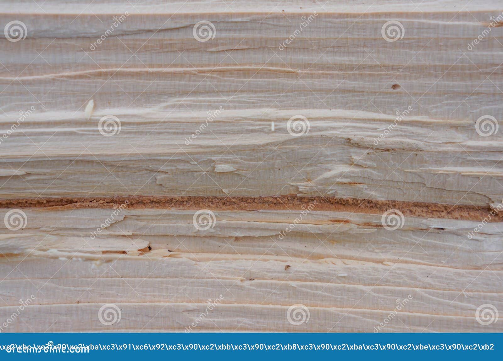 Wood cut texture stock image. Image of grain, plank - 176638597