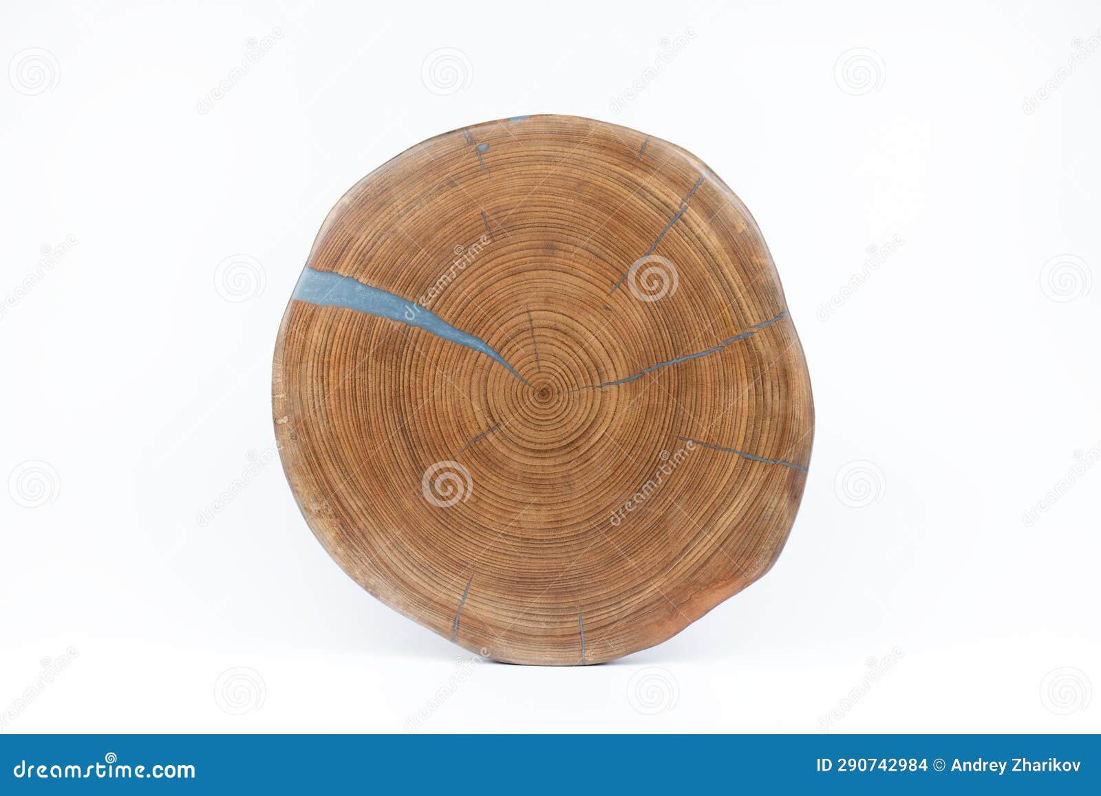 Wood Cut. Tree Trunk. Epoxy Resin on Board. Stock Photo - Image of ...