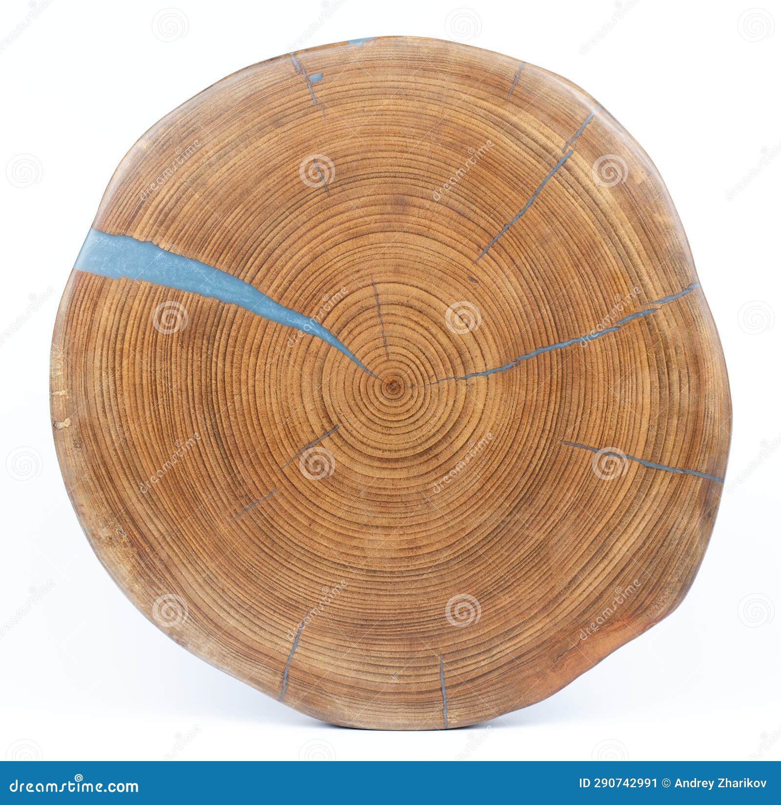 Wood cut. Tree trunk stock image. Image of ring, plate - 290742991