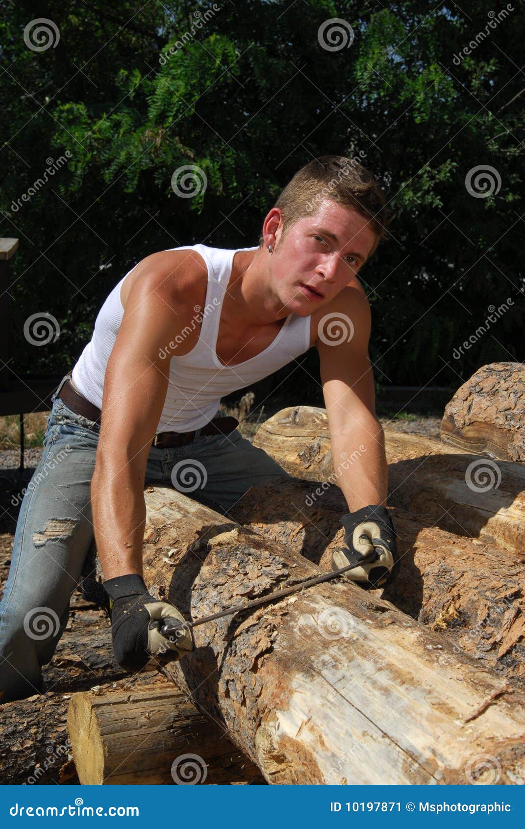 Wood cutter stock image. Image of wilderness, trees, woodcutter - 10197871