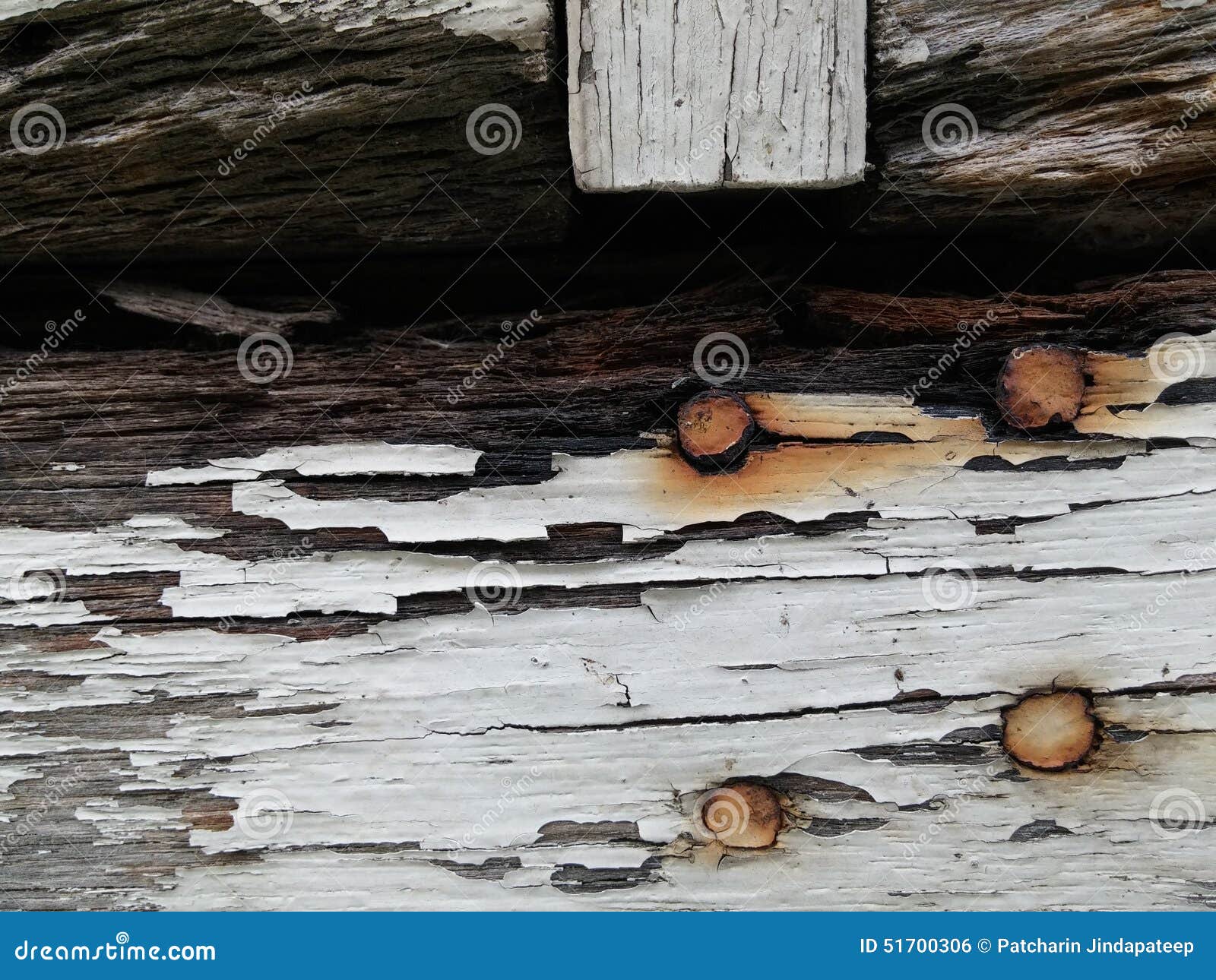 Wood decay stock photo. Image of object, background, bench - 51700306