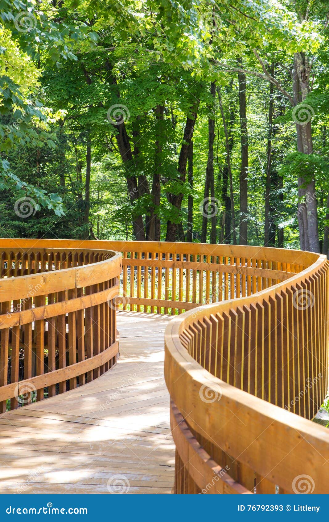 Wood deck path stock image. Image of public, pathway - 76792393