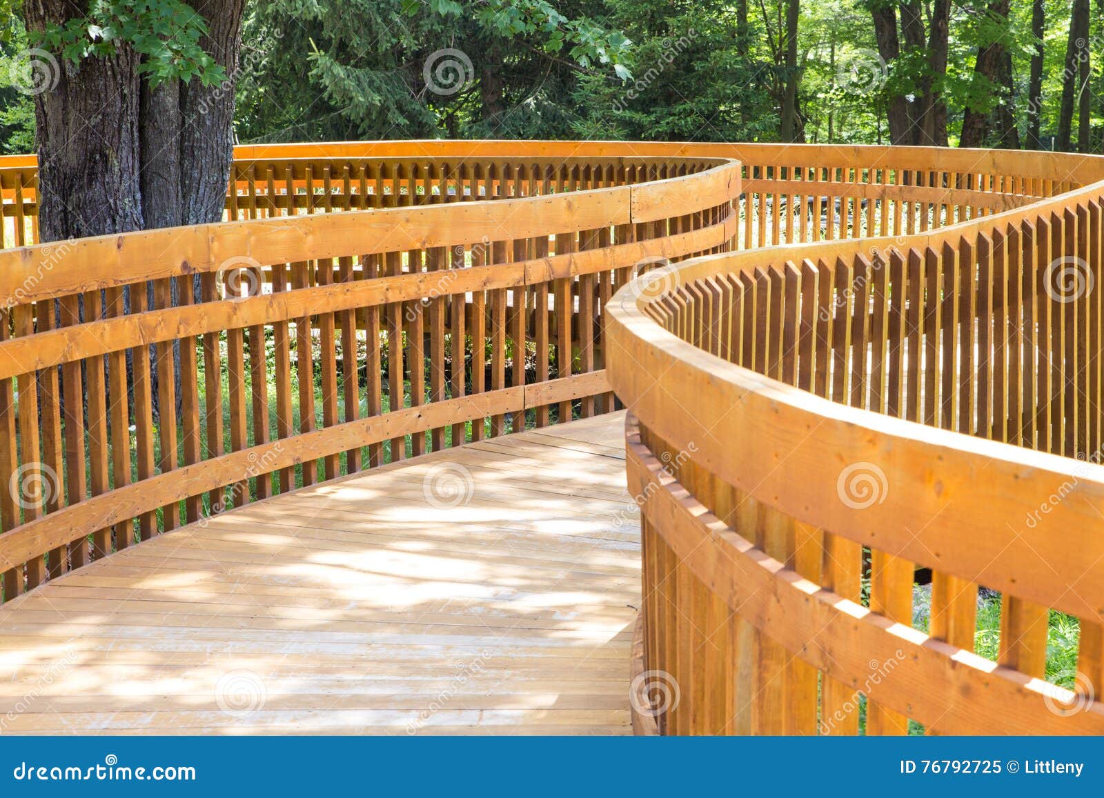 Wood deck path stock image. Image of forest, footbridge - 76792725