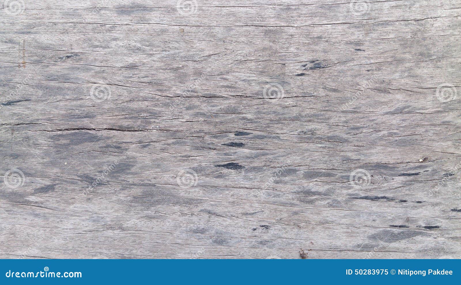 Wood Details Texture Wallpapers and Backgrounds Stock Image - Image of ...