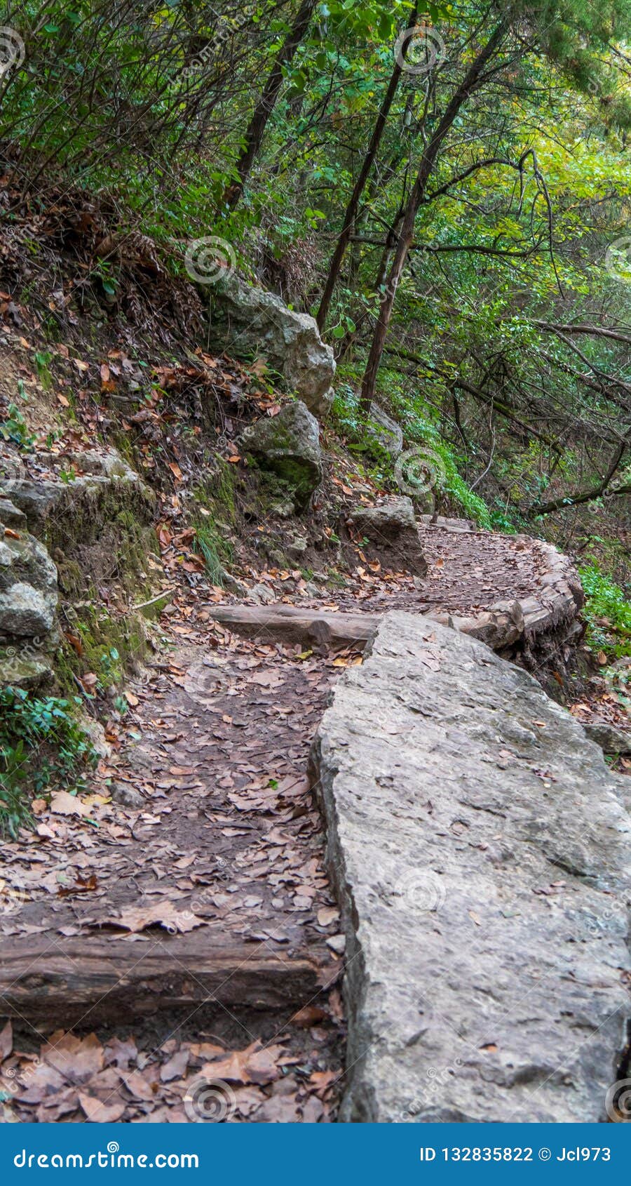 Wood and Dirt Steps through Forest Trails Stock Photo - Image of light ...