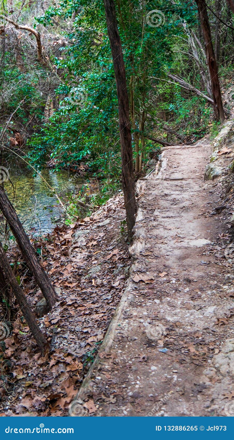 Wood and Dirt Steps through Forest Trails Stock Image - Image of ...