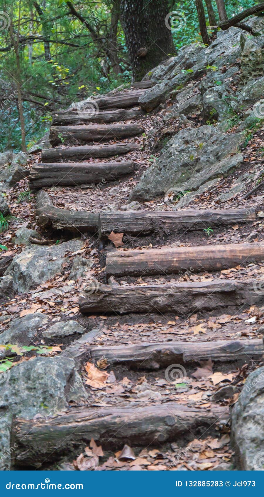 Wood and Dirt Steps through Forest Trails Stock Image - Image of ...
