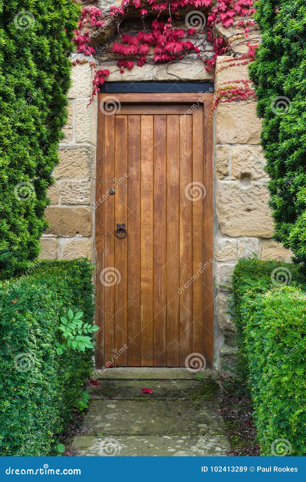 Wood Door - Yew Hedge - Country Door Stock Image - Image of doorstep ...