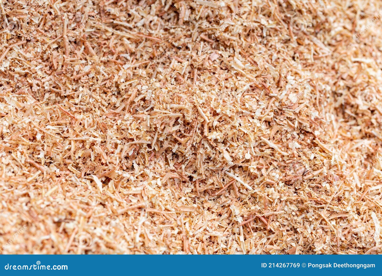 Wood Dust Texture Background Stock Image - Image of tree, floor: 214267769